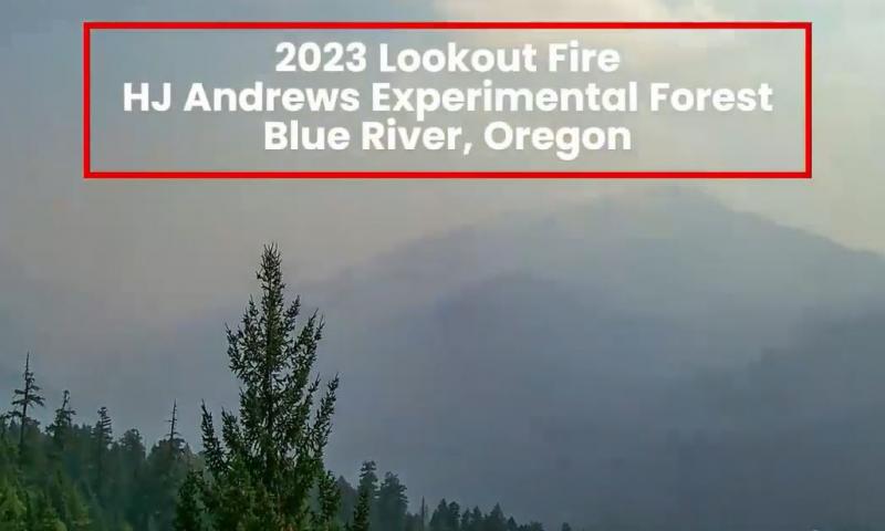 Inquiry After the Lookout Fire | College of Forestry